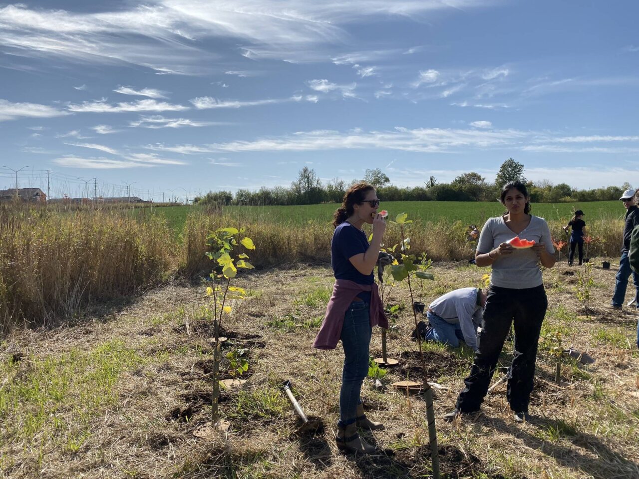 Rootree's 2019 Tree Planting Accomplishment | The Nest | Rootree