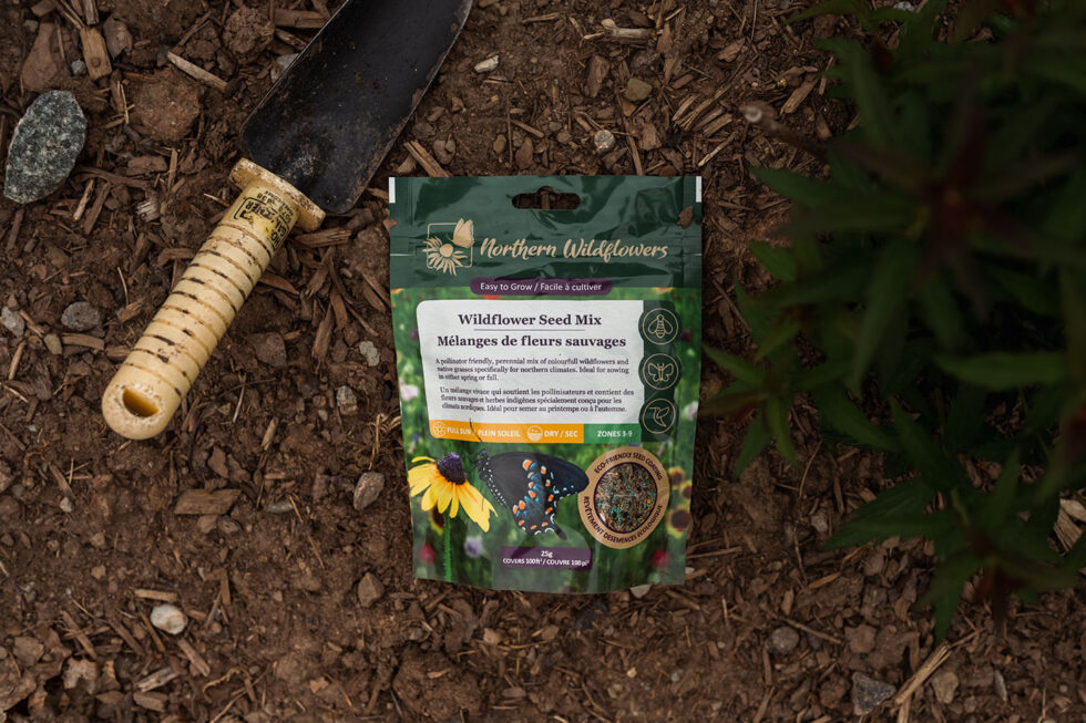 Northern Wildflowers - Rootree