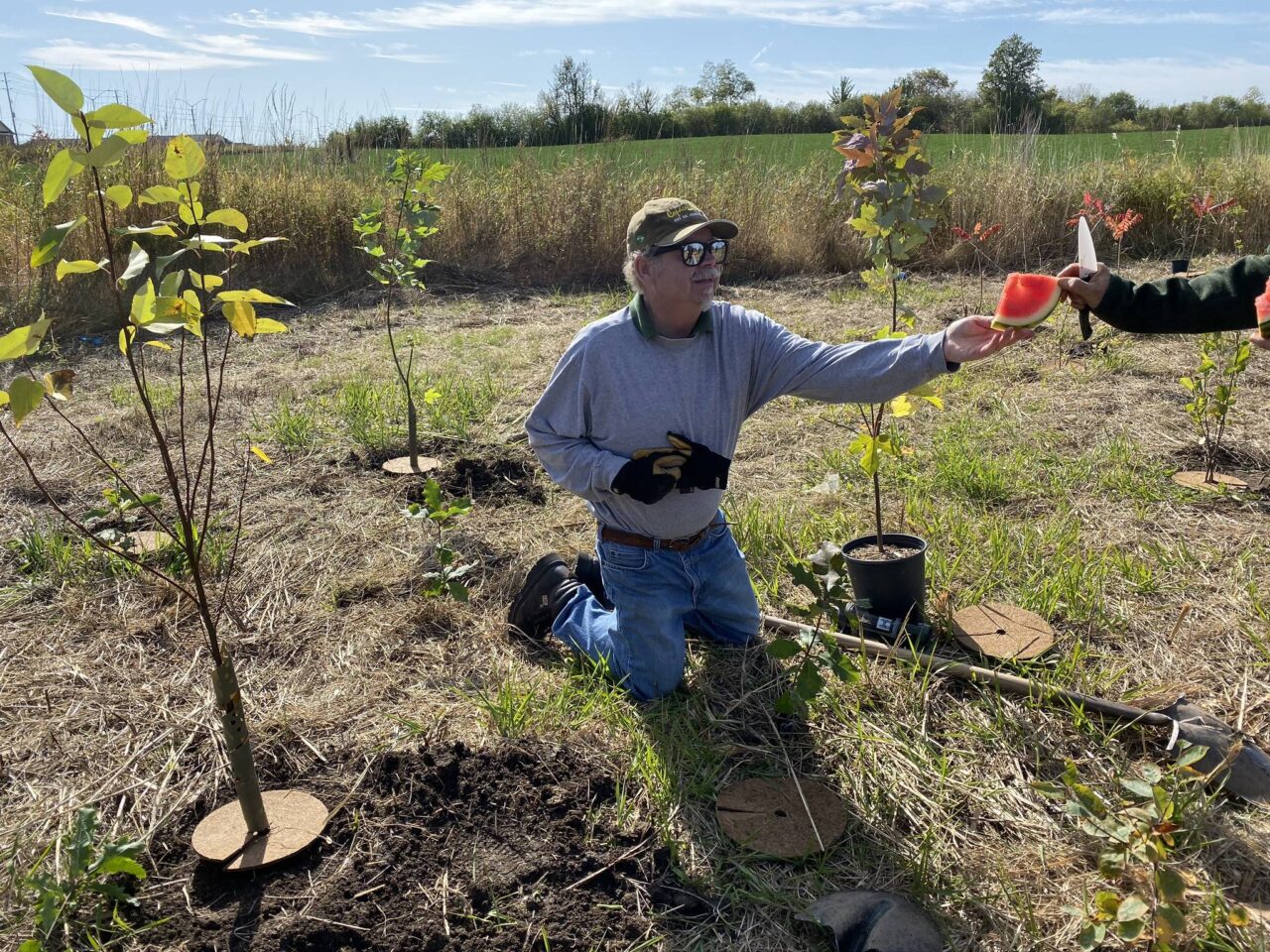 Rootree's 2019 Tree Planting Accomplishment | The Nest | Rootree