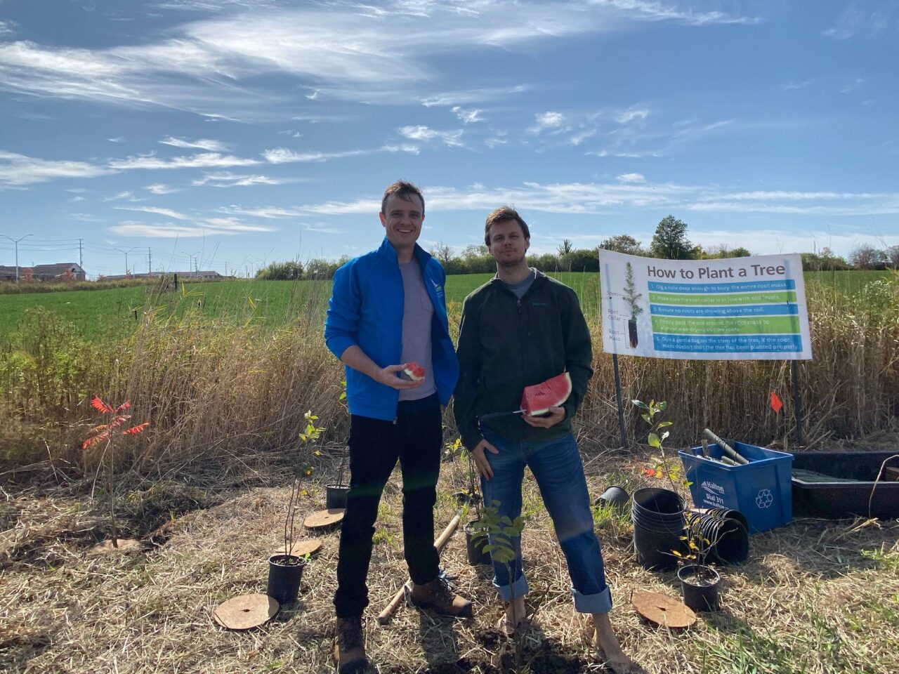 Rootree's 2019 Tree Planting Accomplishment | The Nest | Rootree