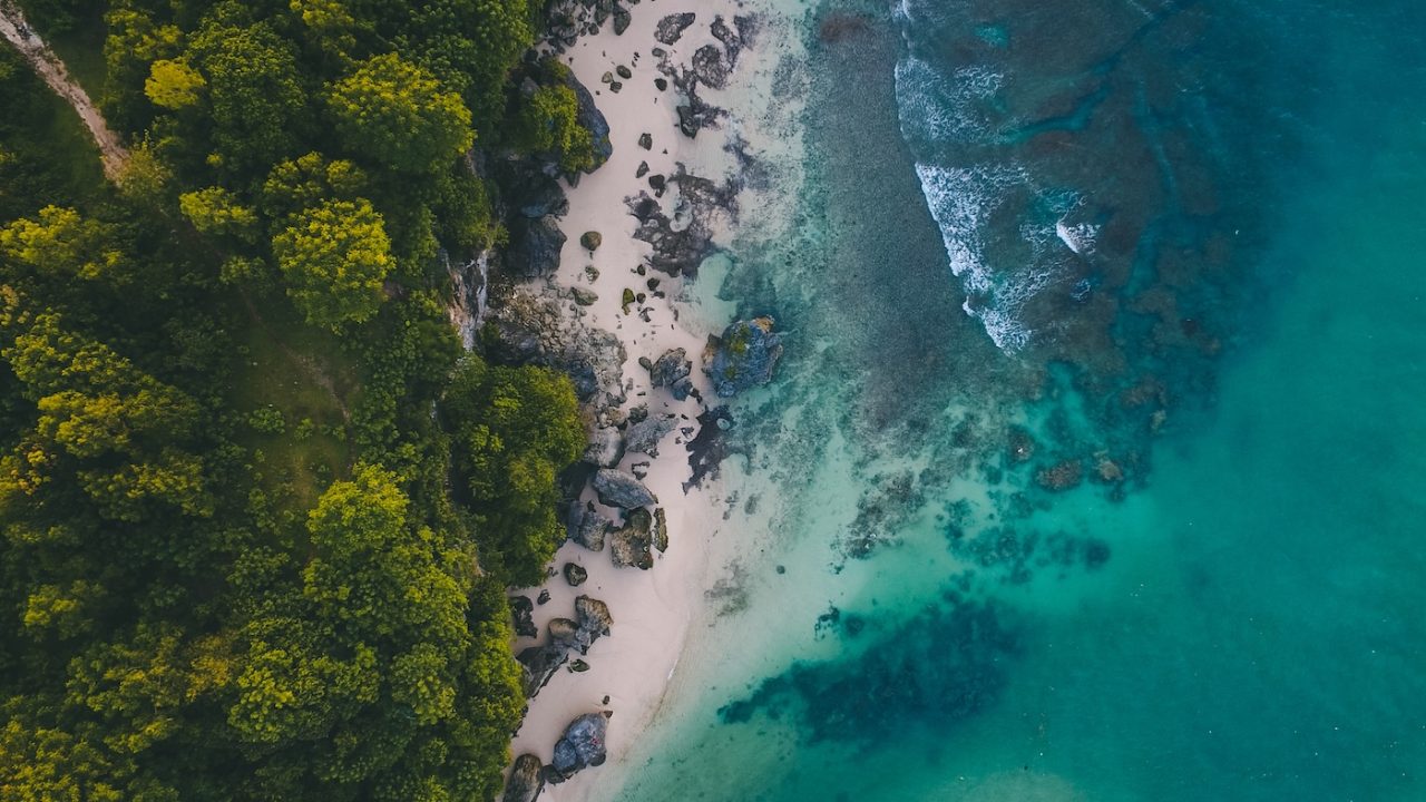 Our Sustainability - Rootree